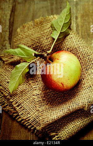 Juicy ripe apple fruit on a tree Stock Photo - Alamy