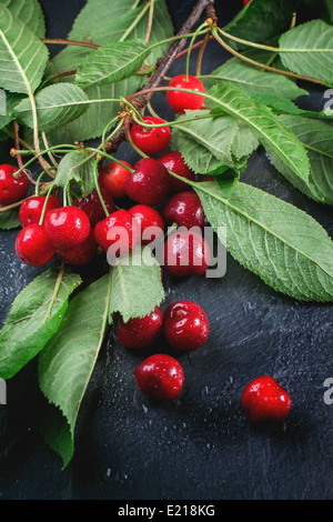 Branch with ripe sweet cherries and leaves Stock Photo - Alamy