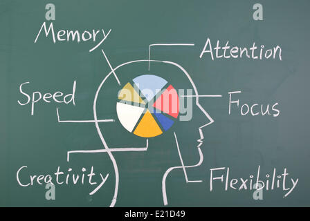Concept of six ability in human brain. Graph with colorful chart on ...