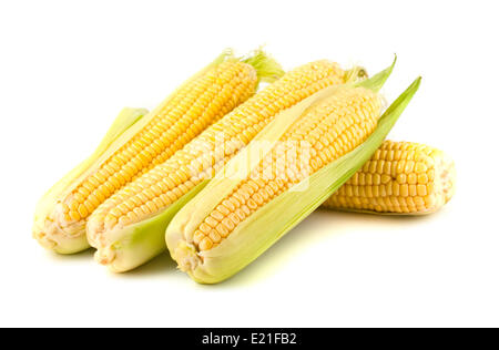 YELLOW CROP: Ripe fresh corn lays on a wooden canvas board in the ...