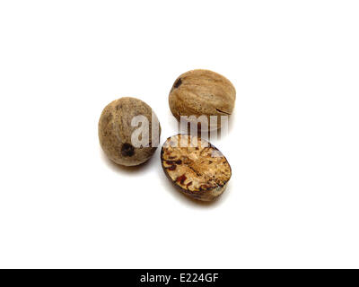 Nutmegs, Myristica fragrans nutmeg nutmeg plants, Myristicaceae, inside ...