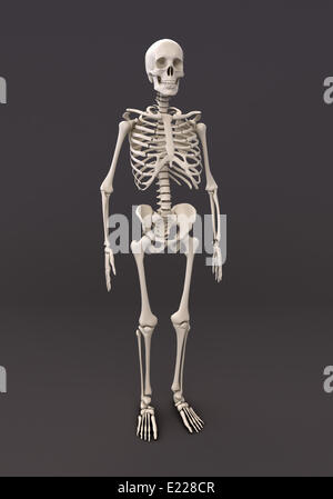 Skeleton of a gray background Stock Photo - Alamy