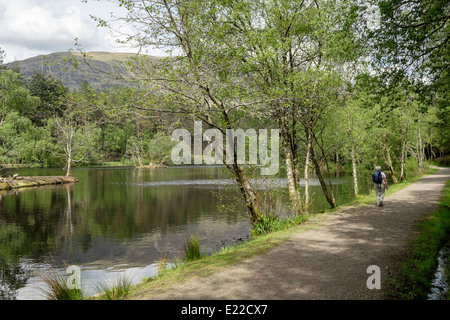 Path through the woodland at Loch Lochan, nera Glencoe, scottish ...