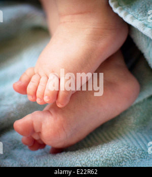 Newborn baby. Close-up of the feet of a newborn baby on the maternity ...