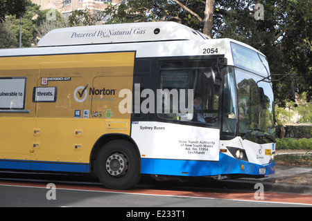 Sydney single decker bus in Sydney city centre,NSW,Australia 2023 Stock ...