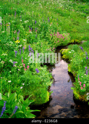 Streams - a small waterfall Stock Photo - Alamy