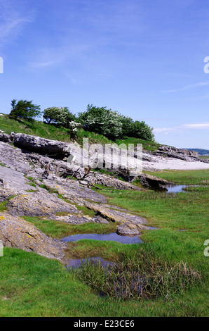 Humphrey Head Point, Cumbria, England, UK Stock Photo - Alamy