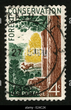 Forest Conservation Postage Stamp Stock Photo: 188672711 - Alamy