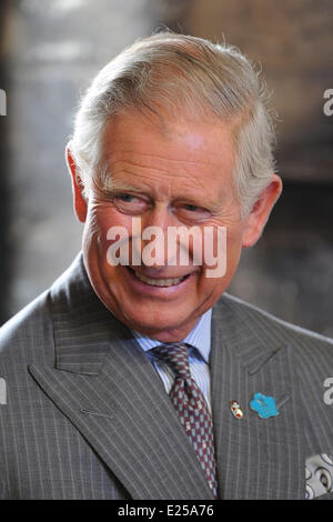 The Prince of Wales and Harry Wardill, projects advisor for The Prince ...