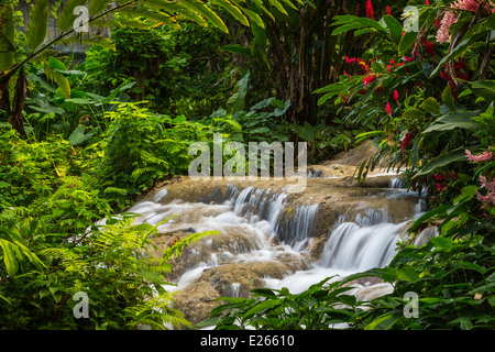 A waterfall at the Turtle River Falls near Ocho Rios, Jamaica Stock ...
