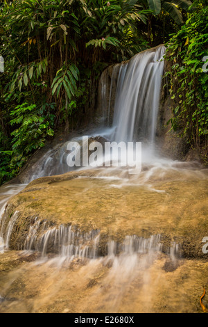 A waterfall at the Turtle River Falls near Ocho Rios, Jamaica Stock ...