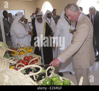 Prince Charles, HRH The Prince of Wales visits the Al Safwa farm in the ...