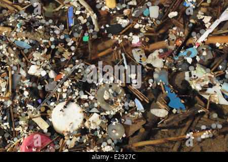 Beaches and rock pools polluted with plastic micro waste washed in on ...