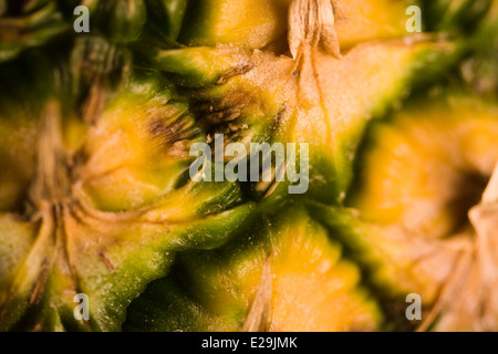 Abstract. Macro photograph of a ripening Pineapple husk Stock Photo - Alamy