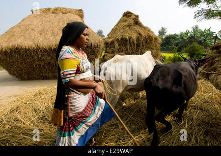 Nepal, Terai area, Seti Zone, Kailali District, traditional life of a ...