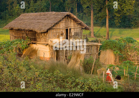 Nepal, Terai area, Chisapani, traditional house Stock Photo - Alamy