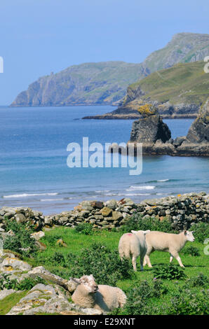 Ireland, County Donegal, Muckross Head Stock Photo - Alamy