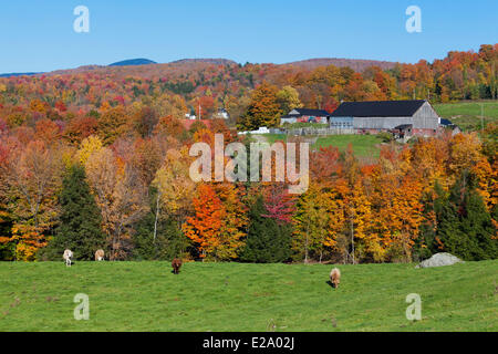Autumn colors in Eastern Townships, Quebec, Canada Stock Photo - Alamy
