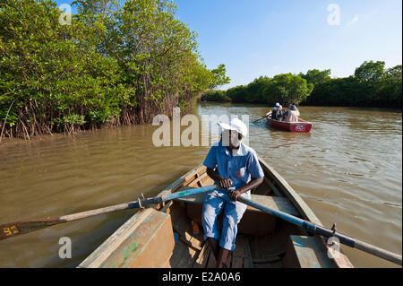 India, Tamil Nadu state, Pichavaram, boat trip in the mangrove, one ...
