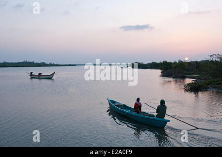 India, Tamil Nadu state, Pichavaram, boat trip in the mangrove, one of ...