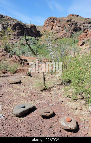 Baja California Mexico Cochimi Rock Art Trinidad Canyon Near Mulege ...