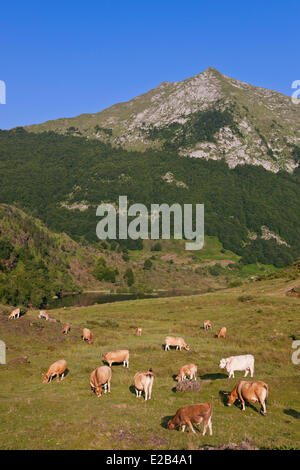 France, Ariege, Haut Couserans region, Parc Naturel Regional des ...