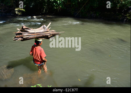 Indonesia, Bali, Ubud, the valley of Sungai Ayung river Stock Photo - Alamy