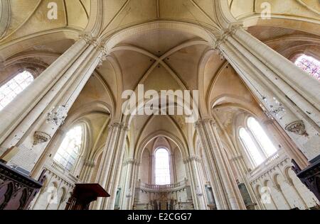 France, Vienne, Poitiers, Saint Pierre cathedrale, west great door ...