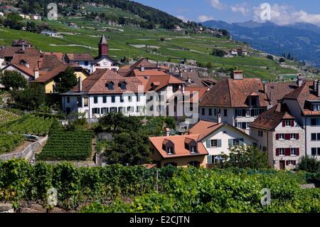 Epesses, Switzerland, Europe, canton Vaud, Lavaux, wine-growing area ...