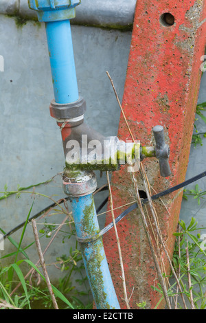 Stopcock, watering system Stock Photo - Alamy