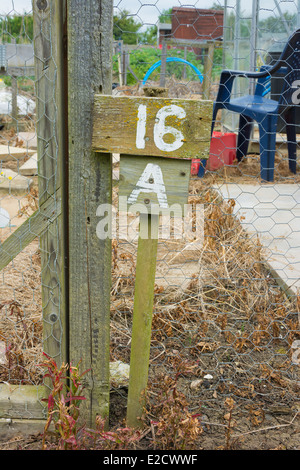 Wooden sign giving garden plot number Stock Photo - Alamy