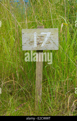 Wooden sign giving garden plot number Stock Photo - Alamy