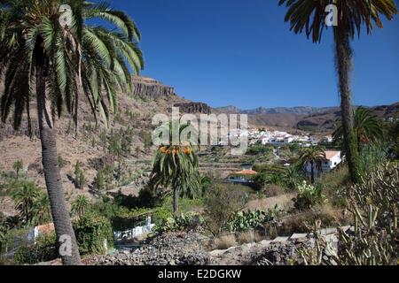 Canary Islands, Gran Canaria, Fataga Village Stock Photo - Alamy