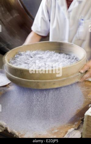 France, Haute Garonne, Toulouse, Candiflor, crystallized violets ...