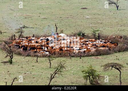 Aerial view of Maasai or Masai boma or enclosure. Kenya Stock Photo - Alamy