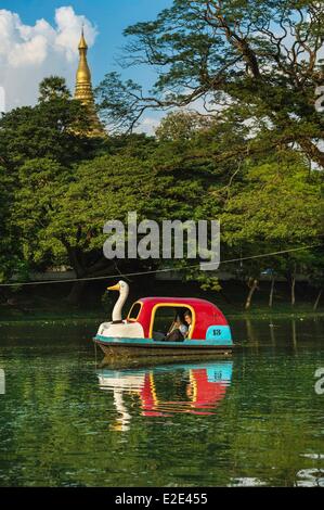 Myanmar (Burma) Yangon division Yangon Kandawn Mingalar park lovers ...