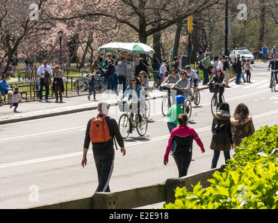Crowded Bike Path, Springtime, Central Park, NYC, USA Stock Photo - Alamy