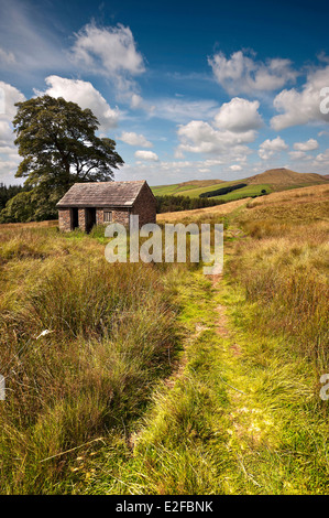 Shutlingsloe & Barn Cheshire Peak District Winter Stock Photo - Alamy