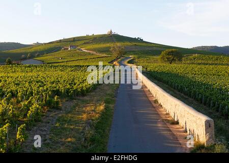 France, Rhone, Madone chapel, Fleurie village, Fleurie AOC Beaujolais ...