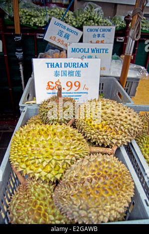 THAI DURIAN FRUIT DISPLAY CHINATOWN PRODUCE Chinese supermarket and ...