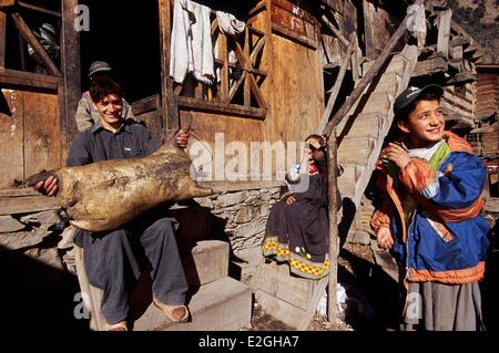 Pakistan Khyber Pakhtunkhwa Kalash valleys Bumburet valley detail of ...