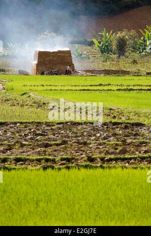 Madagascar Highlands Anjozorobe Angavo protected area Saha Forest Camp ...