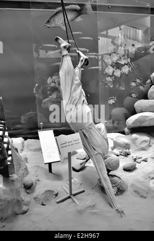 Pearl diving in the Persian Gulf Stock Photo - Alamy