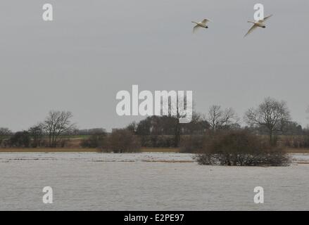 Flooding in Bubwith, East Yorkshire The River Derwent burst its banks ...