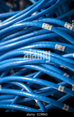 blue utp cable for internet connection on white background Stock Photo ...