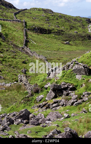 Zig zag dry stone wall, characteristic of the Cornish Landscape, with ...