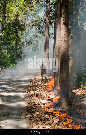 A controlled forest fire management project at Moon Lake, managed by ...