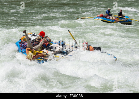 Rower falling out of his raft in Lava Falls on the Colorado River in ...