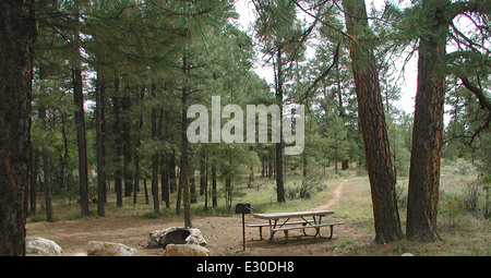 The Ten-X Campground, located in the Tusayan Ranger District of the Kaibab National Forest ...