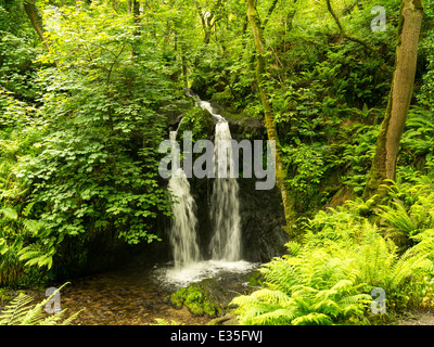 waterfall in Aberfforest, Pembrokeshire, Wales Stock Photo - Alamy